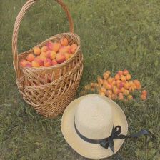 应用程序中的服务器错误。 WebForms UnobtrusiveValidationMode 需要“jquery ...