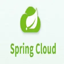 springCloud项目打包如何把jar放到指定目录下_微服务的服务jar包位置在哪里-CSDN博客