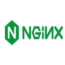Nginx 内存池_nginx内存池-CSDN博客
