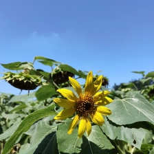 （六）JUC - java内存模型 JMM-CSDN博客