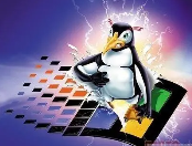 linux docker安装steamcmd_docker steamcmd-CSDN博客