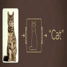 PointRend: Image Segmentation as Rendering_pointrend: image segmentation as rendering代码-CSDN博客