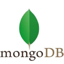 MongoDB之JavaAPI使用_下载jar包javaapi进行mongodb操作-CSDN博客