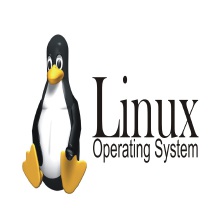 01 Linux基础篇--安装_virtual machine 15.5下载地址-CSDN博客