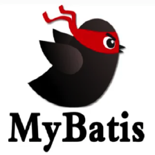 Mybatis 常见面试题_mybatis常见面试题-CSDN博客