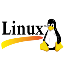 【VMware环境下Linux磁盘空间（LVM）扩容方法】_vmware 扩展linux磁盘容量-CSDN博客