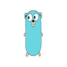 go实现json文件动态写入，格式化_golang json格式化-CSDN博客