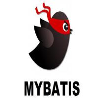 MyBatis——查询进阶(resultMap)详解,模糊查询-CSDN博客