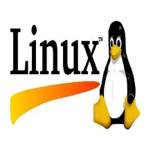 Linux安装单机MongoDB6.0.5(使用tar包安装)_mongodb tarball包安装-CSDN博客