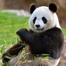 [pandas] pandas.DataFrame.assign用法示例_dataframe assign-CSDN博客