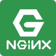 Nginx服务器反向代理MinIO配置_nginx代理minio-CSDN博客