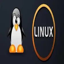 [Linux 基础] Linux编辑器Vim，gcc/g++的使用，你值得拥有_linux下的代码编辑器-CSDN博客