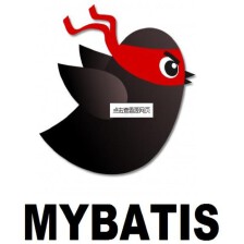 浅谈Mybatis中的事务提交Commit()方法_mybatis commit-CSDN博客