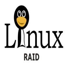 Linux RAID介绍_linux intel raid-CSDN博客