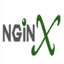 Nginx——mac安装nginx-CSDN博客