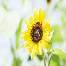 phaser3总结_phaser3中文官网-CSDN博客