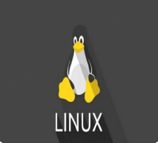 linux系统部署jar包能用到的命令_linux发布jar包命令-CSDN博客
