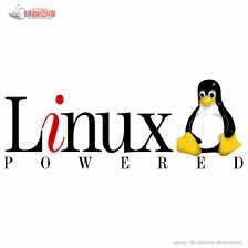 05.Linux命令之find命令_linux find -exec命令-CSDN博客