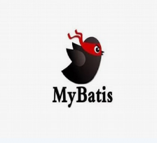 Mybatis 之 useGeneratedKeys_mybatis usegeneratedkeys-CSDN博客