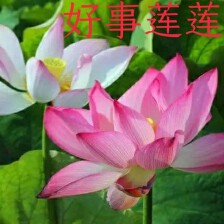 arthas的简单使用_arthas-boot.jar监听指定进程-CSDN博客