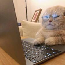 java基础巩固-宇宙第一AiYWM：为了维持生计，编程语言番外篇之Rust~整起_rust 转java-CSDN博客