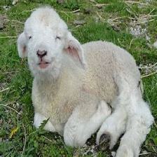 22.1、日志技术：JUL、log4j、Logback 、Slf4j、Logback 快速入门、Logback 配置文件、Logback 日志级别、优化案例中的日志记录-CSDN博客