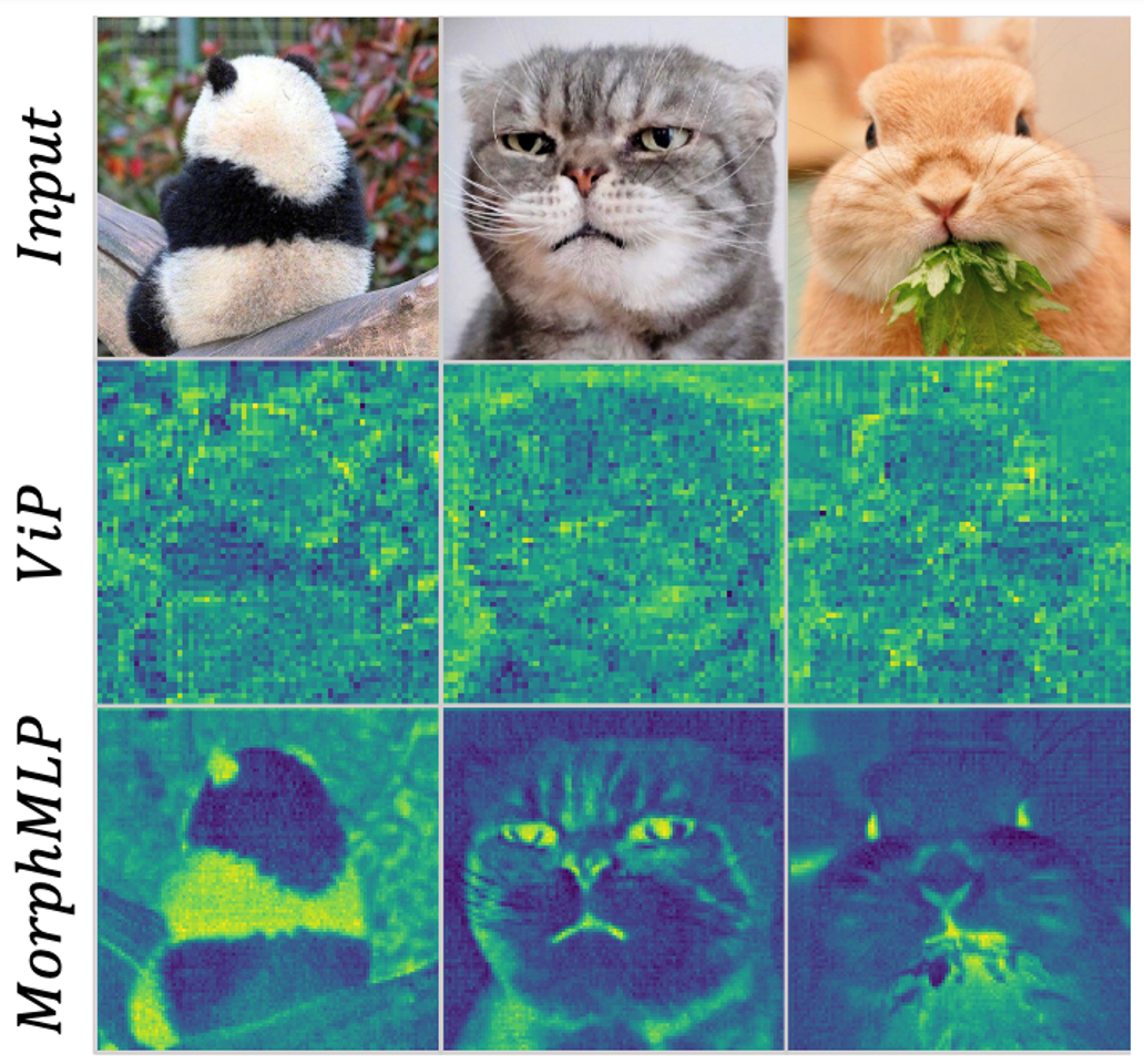 ECCV 2022 | MorphMLP：一种用于视频时空建模的MLP类主干网络-CSDN博客