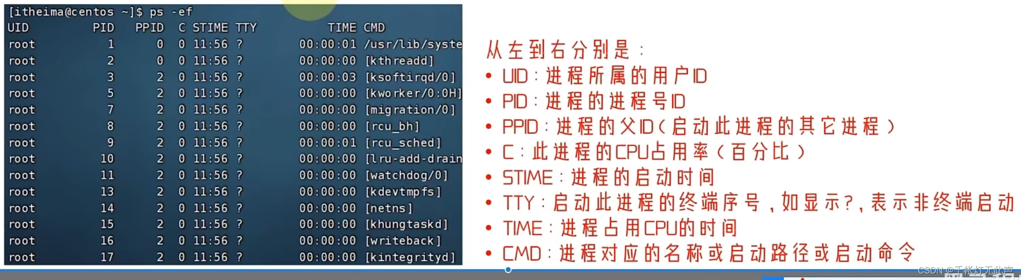 Linux基础命令（示例代码 + 解释）_csdn linux-CSDN博客