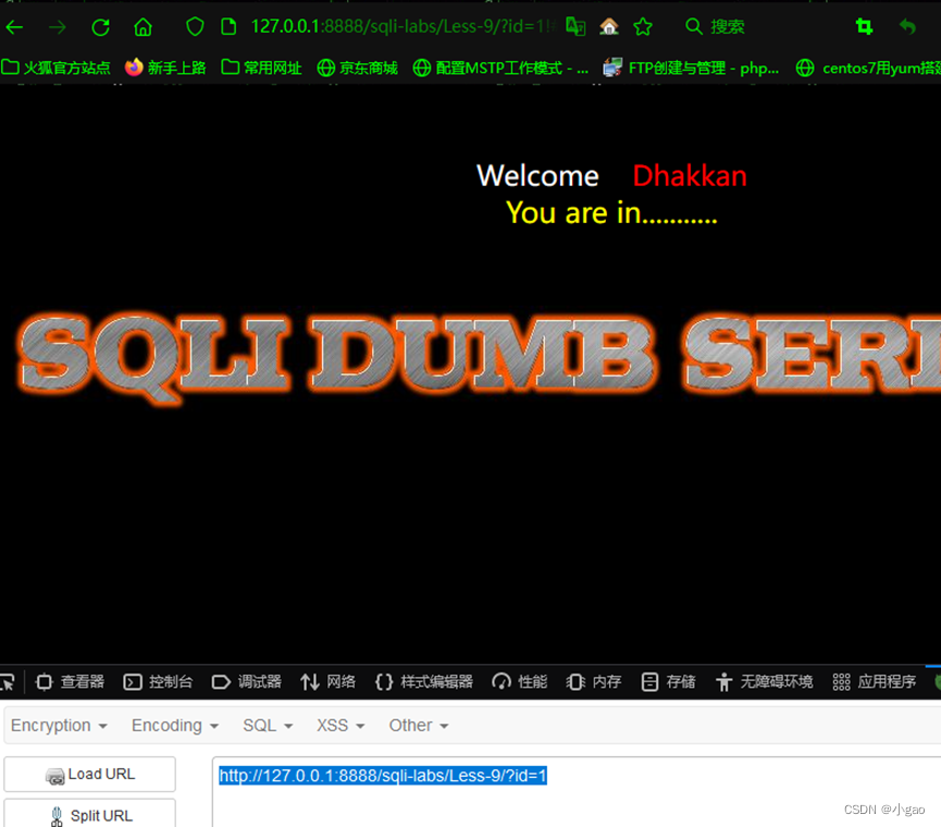 SQL 注入-盲注_在sql中length(),ascii() ,substr()-CSDN博客
