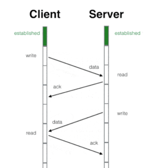 HCIA day 2：OSI七层模型与网络协议_七层网络模型 和协议-CSDN博客