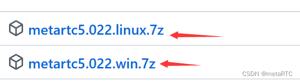 metaRTC5.0编程之p2p网络穿透(stun)指南_metartc p2p-CSDN博客