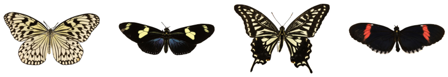 【Diffusers库】第四篇 训练一个扩散模型(Unconditional)_from diffusers import unet2dmodel-CSDN博客