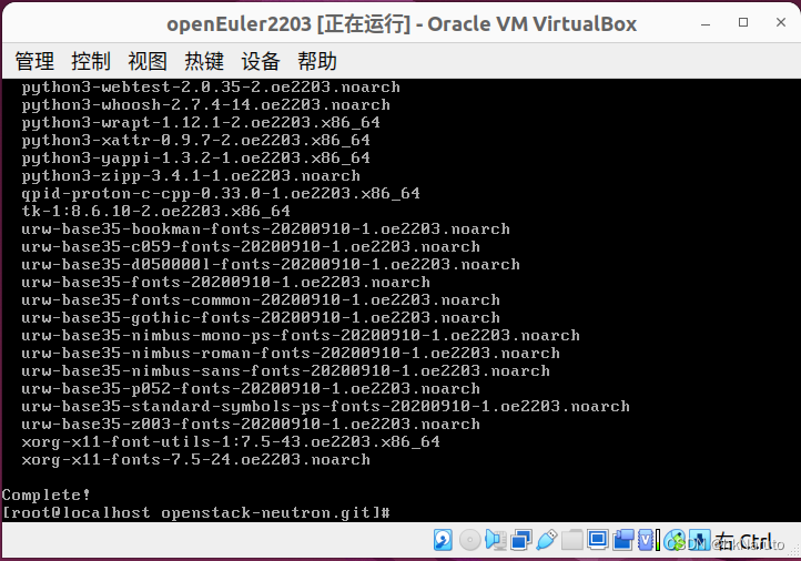 aarch64 rpmbuild openstack wallaby neutron 打包rpm笔记_rpm 构建错误: 行 95:it's not recommended to have ...