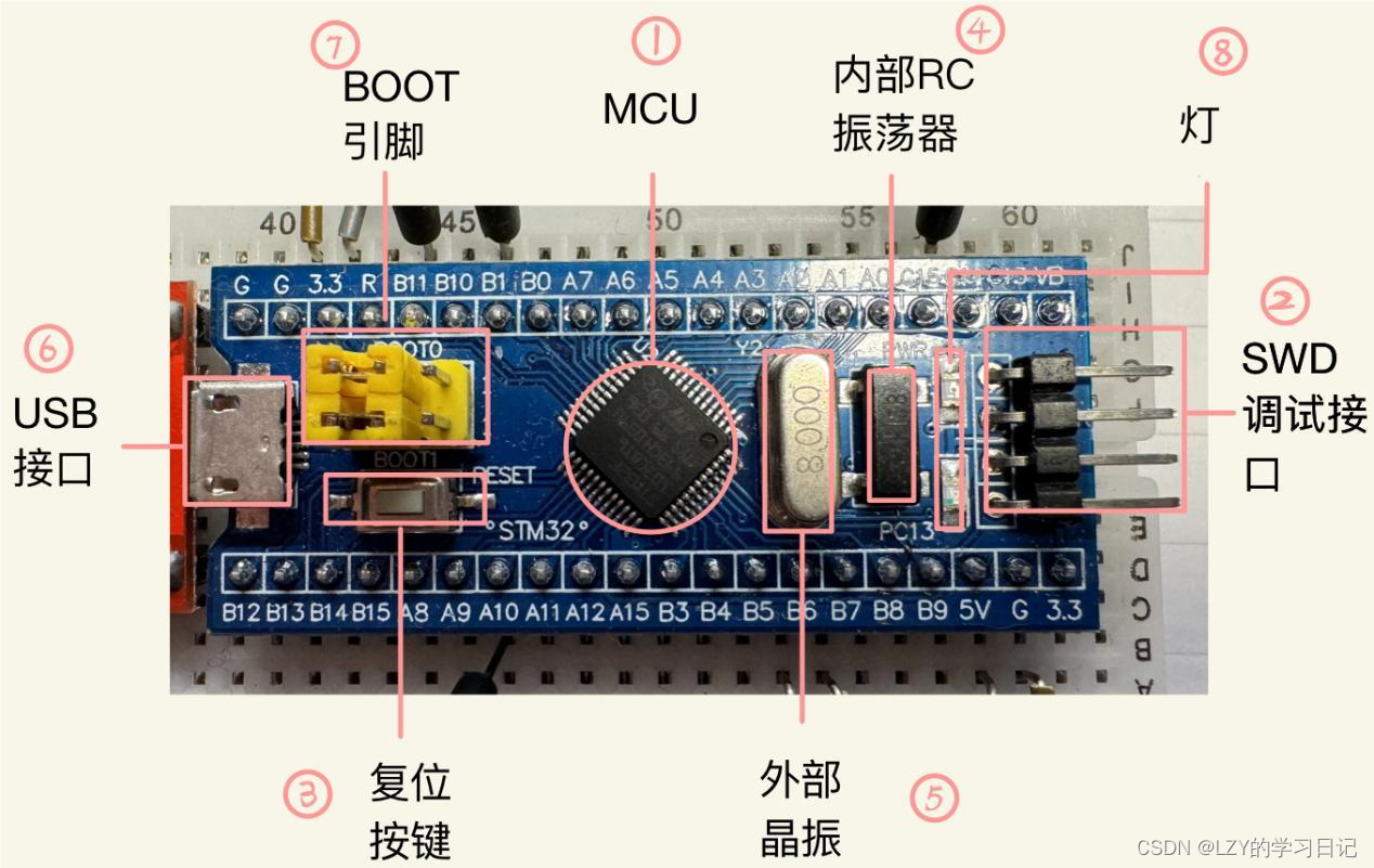 保姆级STM32入门教程（标准库和HAL）_stm32 入门-CSDN博客