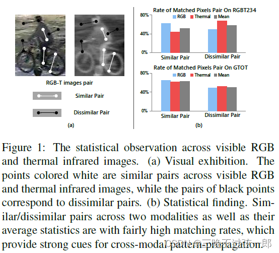 [RGBT-VOT2](2020CVPR)CMPP: Cross-Modal Pattern-Propagation for RGB-T Tracking-CSDN博客