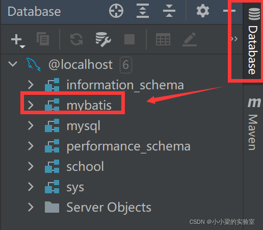 Mybatis的配置与使用[FirstDemo]_mybatisfirstdemo-CSDN博客
