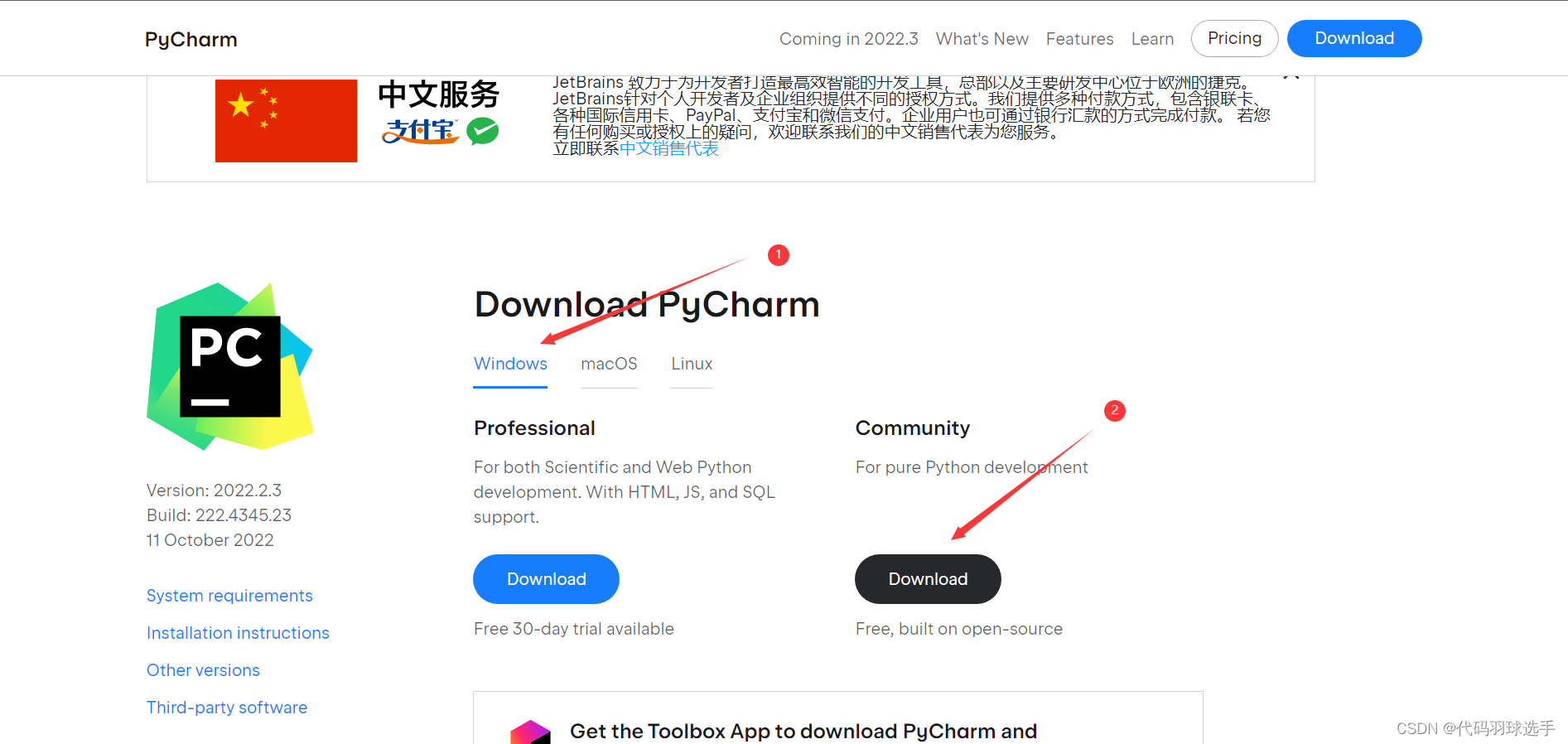 Pycharm安装教程【看了就会的那种】_pycharm解释器安装教程-CSDN博客