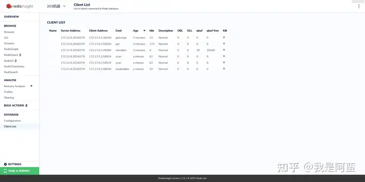Docker 安装 Redis 和可视化工具 Redisinsight_redisinsight docker-CSDN博客