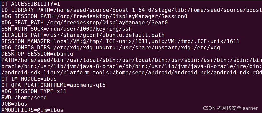 Environment Variable and Set-UID Program Lab-CSDN博客