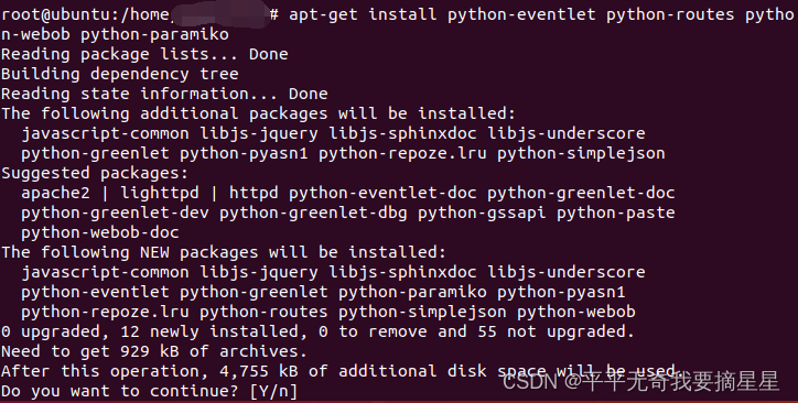 Ubuntu18.04安装RYU_ubuntu1804 ryu 安装-CSDN博客