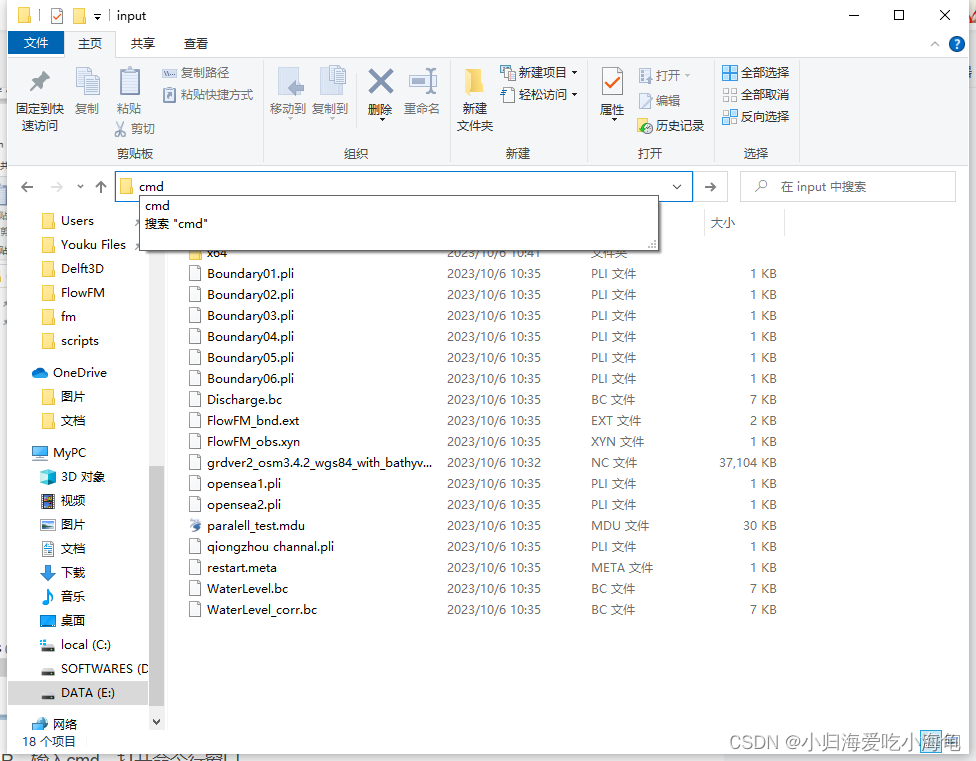 Delft3D FM并行计算方法-CSDN博客