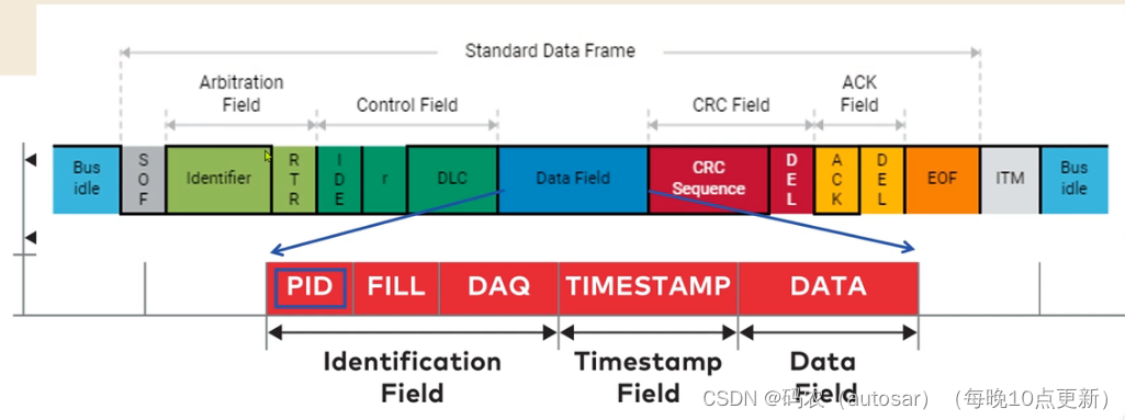 XCP协议入门-认识XCP协议2_xcp报文和can报文格式-CSDN博客