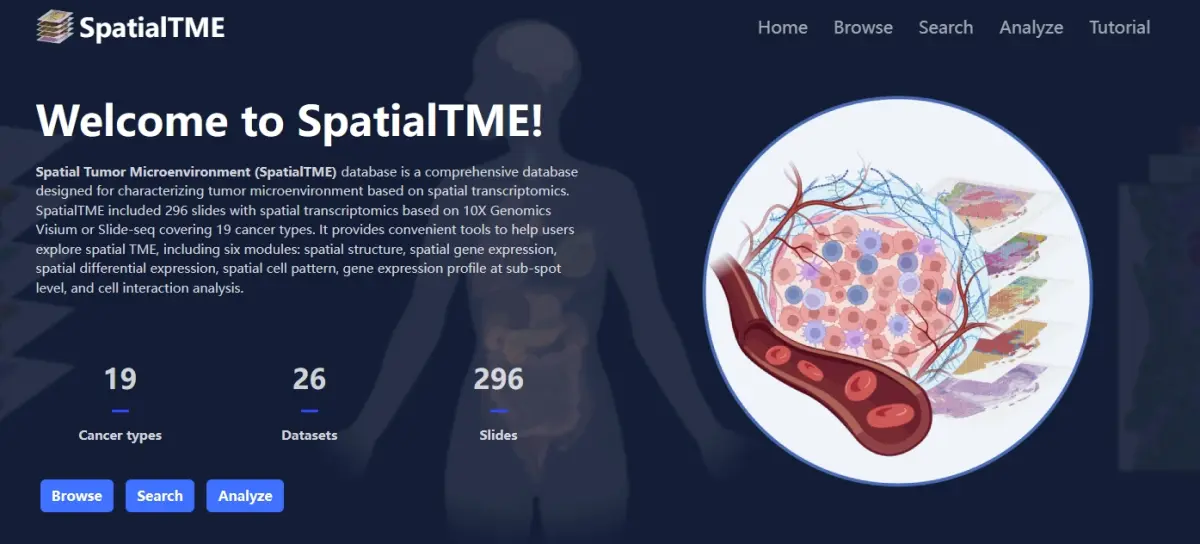 空间数据库SpatialTME与空间主要分析_spatialfeatureplot-CSDN博客