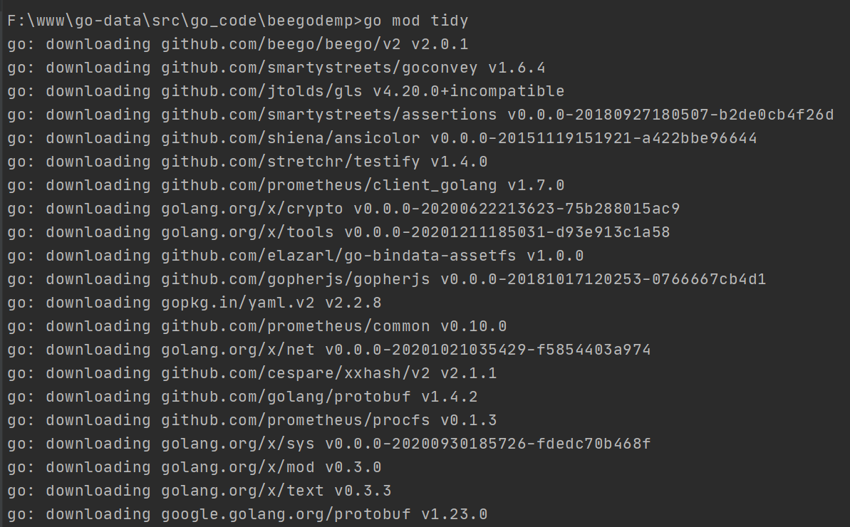 Beego之Bee安装以及创建,运行项目_beego bee-CSDN博客