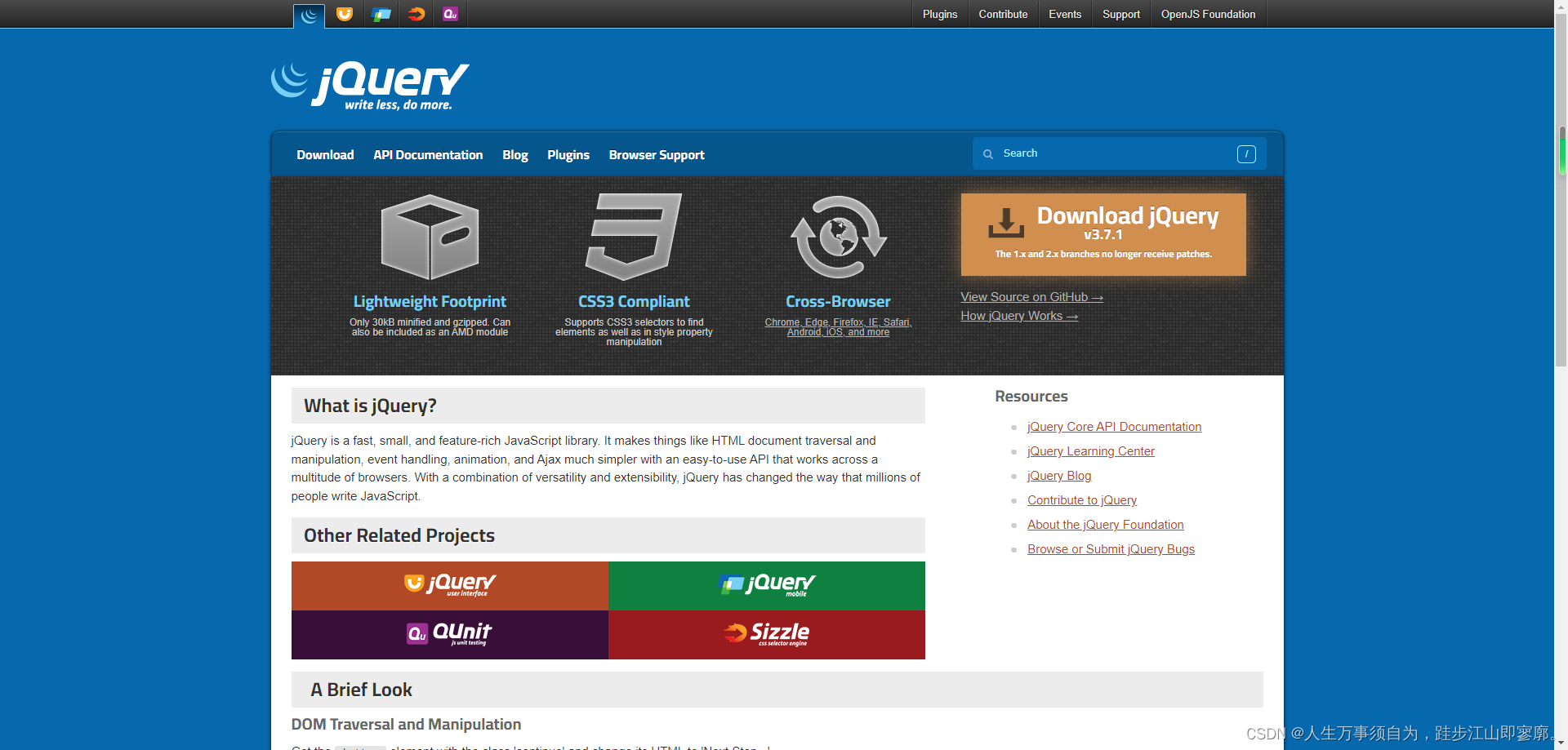 JQuery Validation：轻量级且广泛兼容的表单验证利器_jquery.validation-CSDN博客