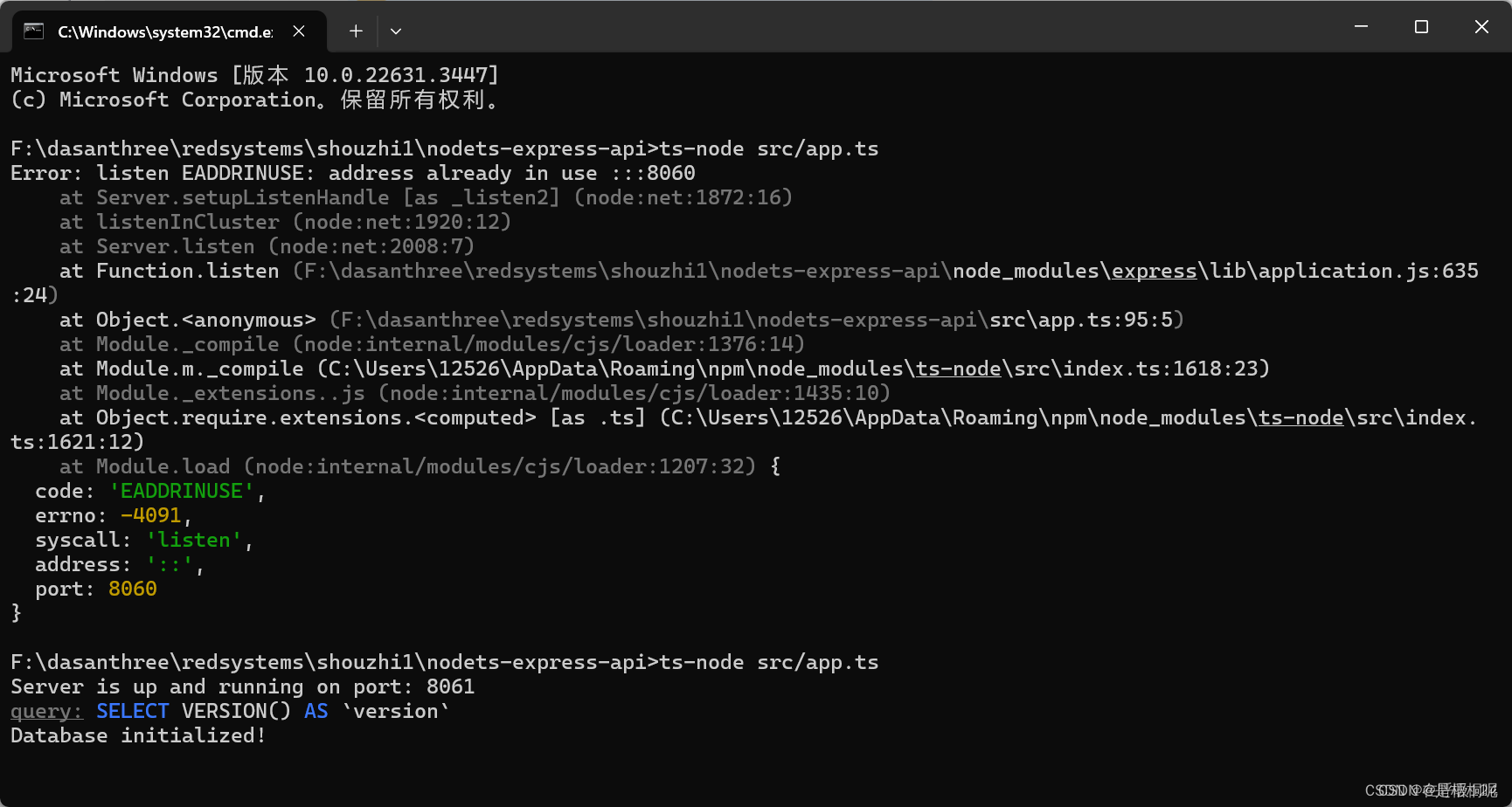 如何通过radsystem源代码启动项目----2-CSDN博客