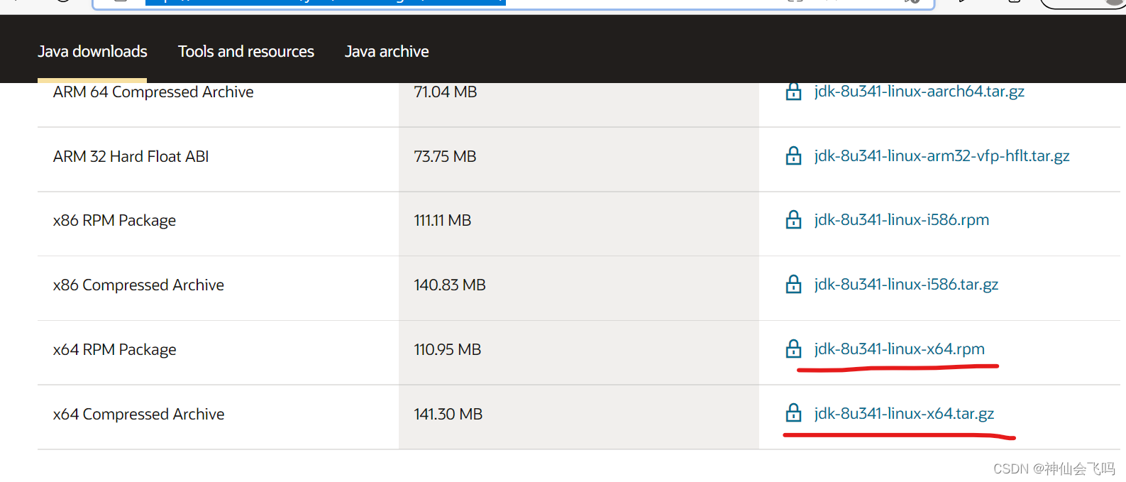 Liunx配置jdk_linux登录不显示profile配置的jdk-CSDN博客