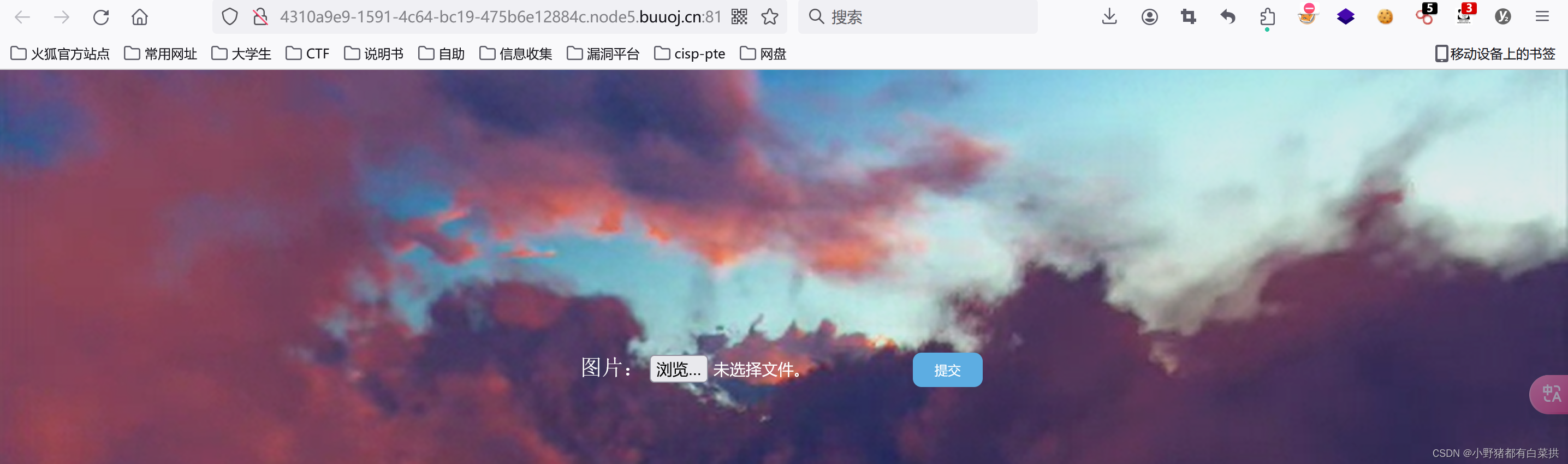 [极客大挑战 2019]Upload--BUUCTF-CSDN博客