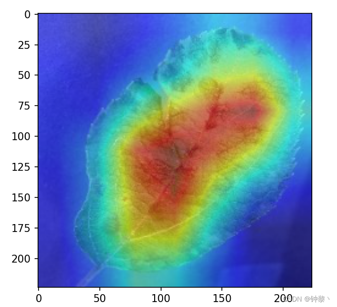 分类任务使用Pytorch实现Grad-CAM绘制热力图_pytorch 热力图-CSDN博客