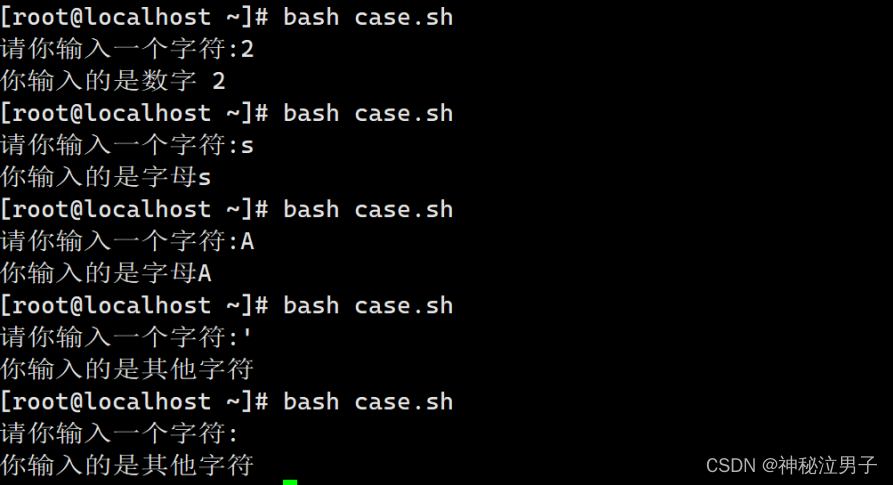 [Shell编程学习路线]——shell脚本中case语句多分支选择详解_shell编程 case-CSDN博客
